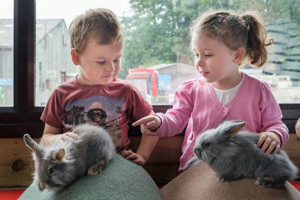 100 Farm Parks Attractions near me - Kids Days Out