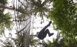 Things to do near me this weekend - Kids Days Out